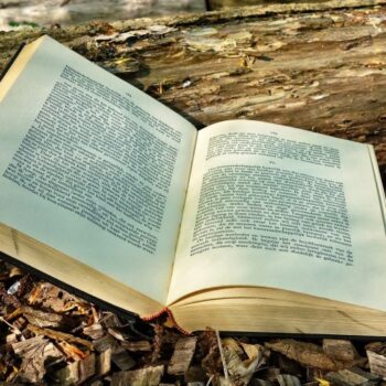 Top 10 most literate countries in Africa 2023 - Victor Mochere